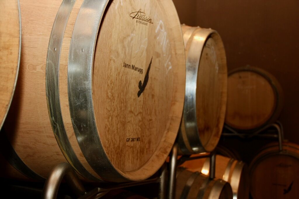 Wein Degustation im Torkel - Weingut Jann Marugg | Fläsch